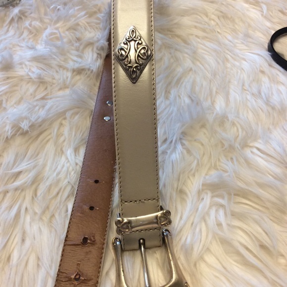 Fossil | Accessories | Fossil Iridescent Belt With Silver Detail M ...